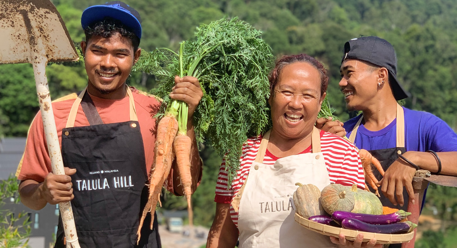 Farm Garden – Talula Hill